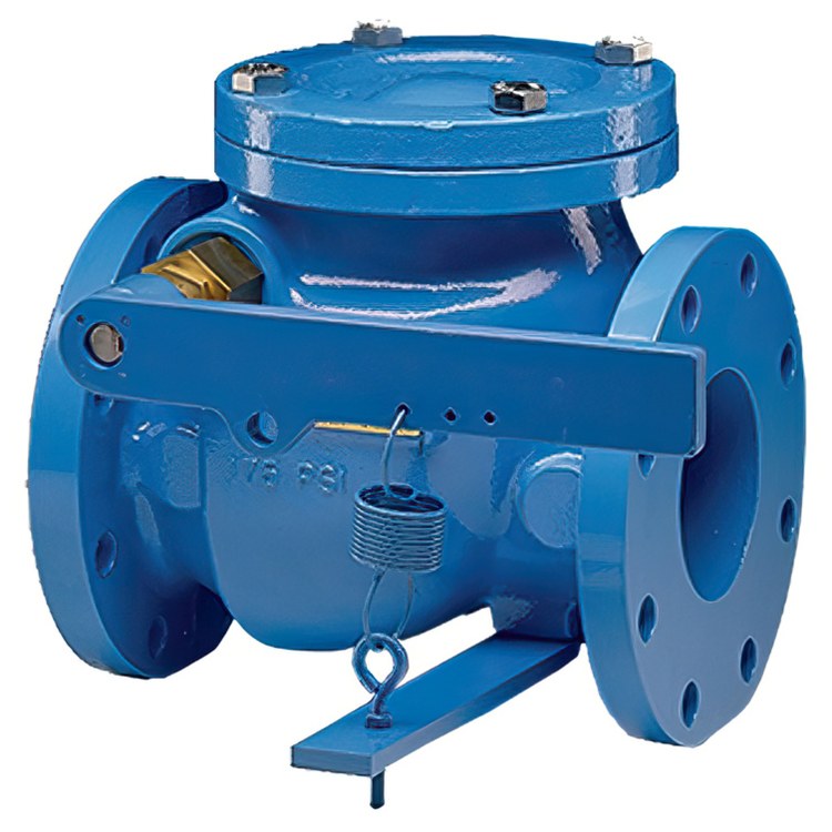 Flomatic 3709LS Check Valve