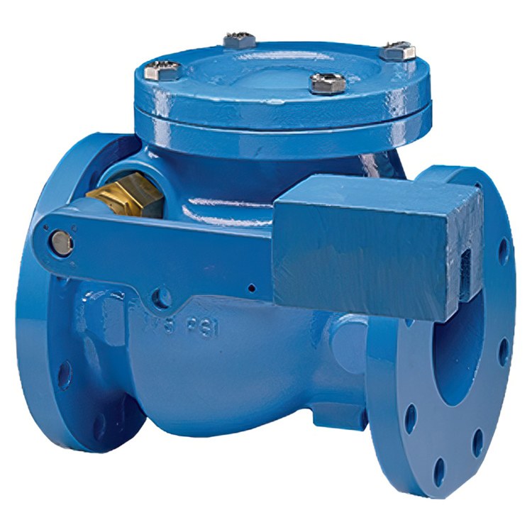 Flomatic 3706LW Check Valve