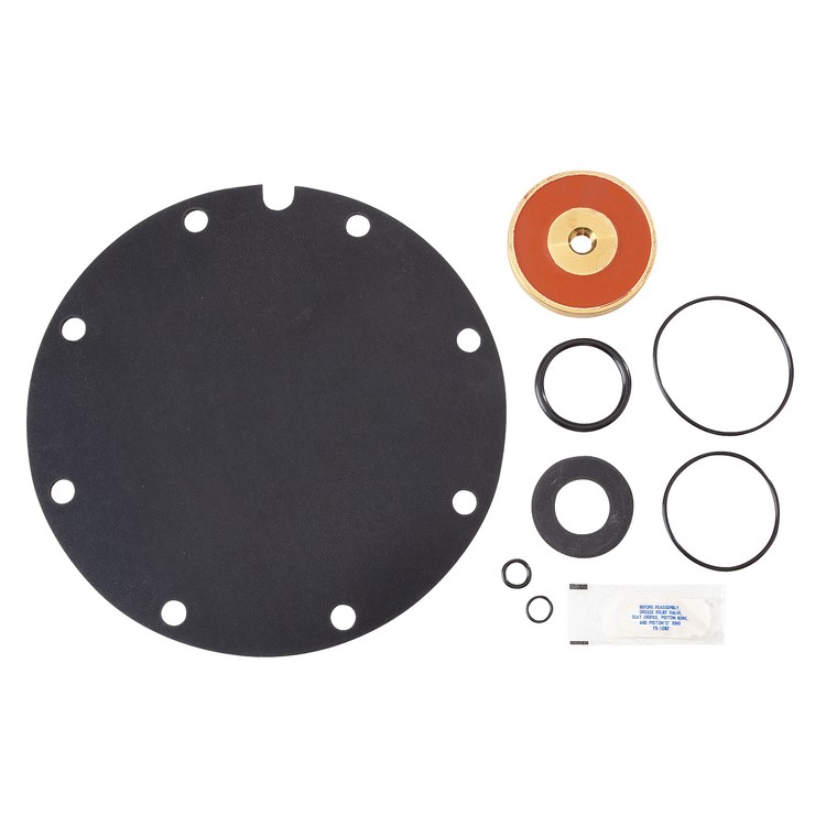 Watts Regulator LFRK909-RV4-6 Repair Kit