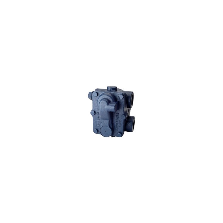 Armstrong D500632 Steam Trap