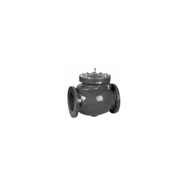Ward WSC44FF-250 Check Valve