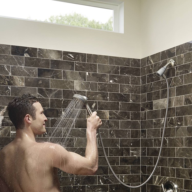 Moen 26100EP Handshower Combination