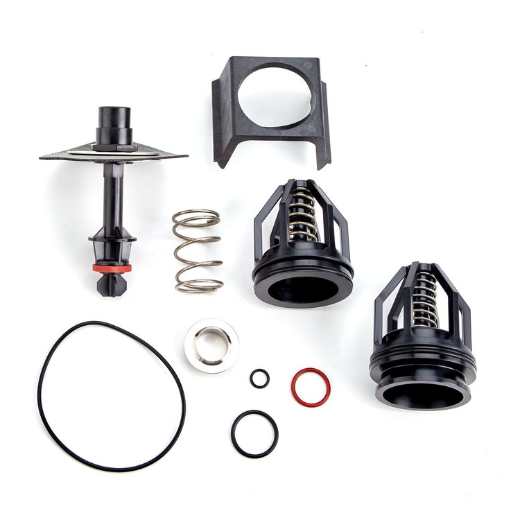 Watts Regulator RK009M2-T-114-112 Repair Kit