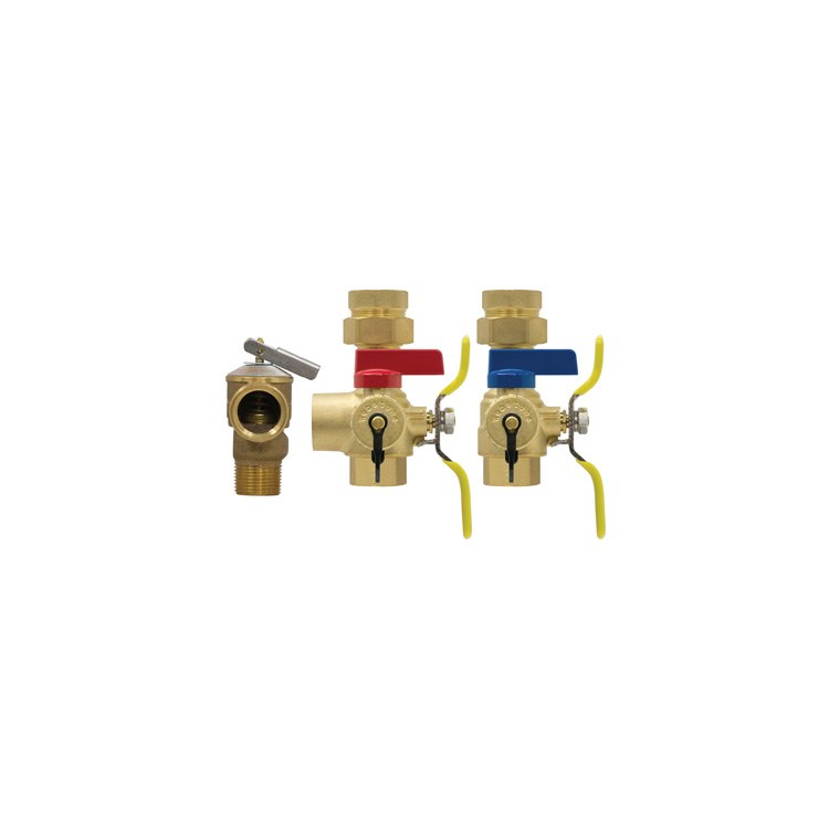 Webstone H-44444WPR3 Valve Kit